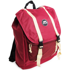 Colorblock Backpack 16in | Five Below | let go & have fun