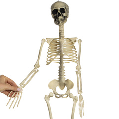 3ft hanging halloween skeleton decor | Five Below | let go & have fun