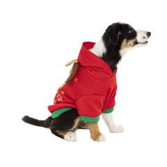 cute holiday pet sweater | Five Below | let go & have fun