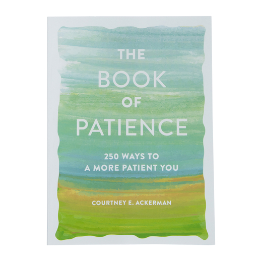 the book of patience by courtney e. ackerman | Five Below | let go ...