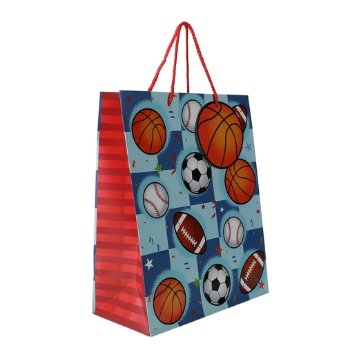 large sports gift bag 10.37in x 12.75in | Five Below | let go & have fun