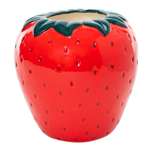 Strawberry Planter | Five Below | let go & have fun